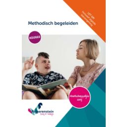 Angerenstein Welzijn : Methodisch begeleiden | Dedicon- webwinkel voor ...